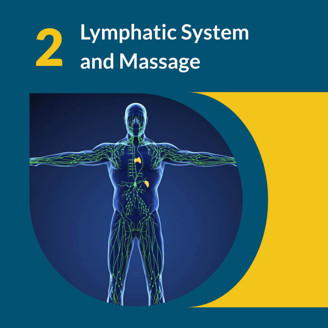 5 Top CE Courses of the Year | AMTA